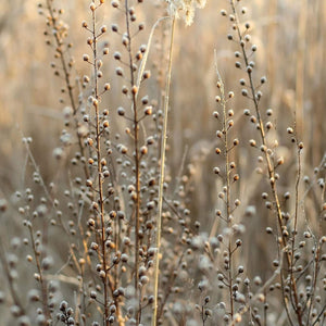 Noeje - Lokalt produceret, dansk design